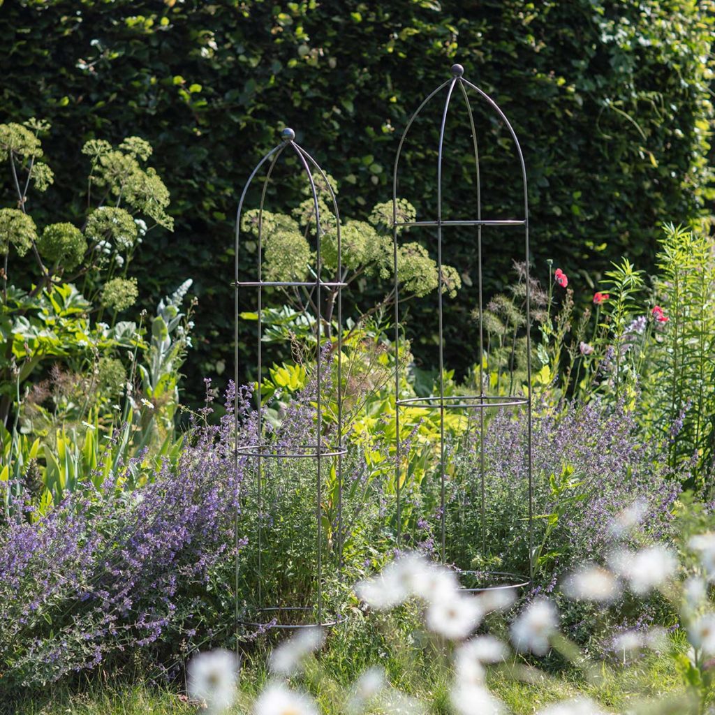 Terracotta Rhubarb Forcer - Preston Bissett